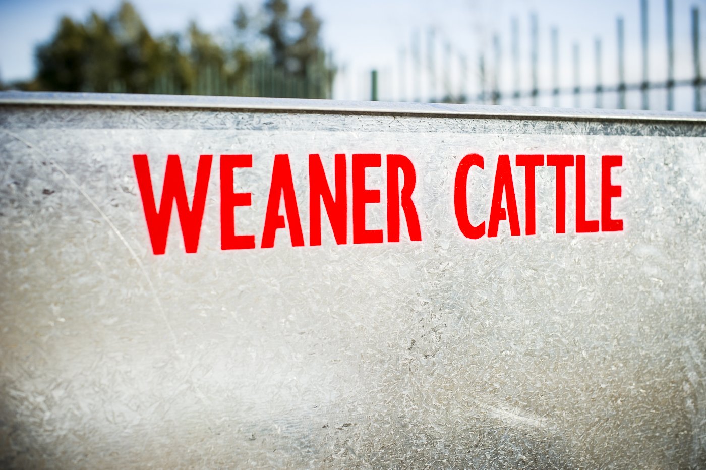 Bromar Weaner Cattle Lickfeeder: Precision Feeding for Optimal Growth